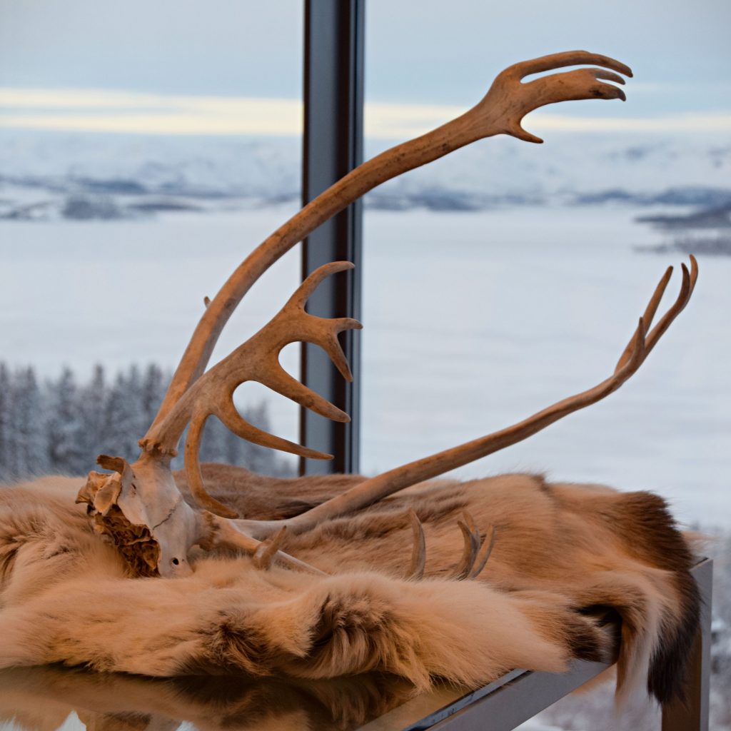 Creating meaningful experiences with one of Norway’s most elusive ...